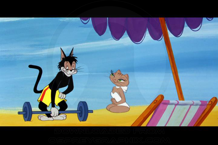 Tom and Jerry - Muscle Beach Tom